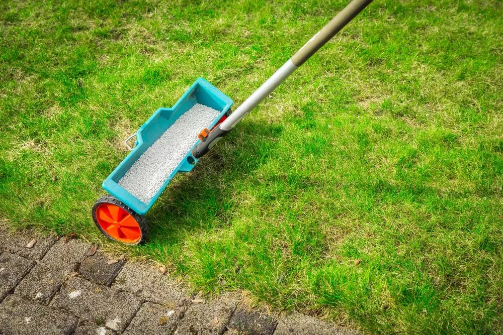 How to fertilise your lawn in 4 steps - Elmwood Garden Centre - Emerson ...